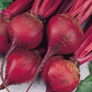 Beta Vulgaris - Ruby Queen Beet - 5 Seed Pack | Online Seed Store